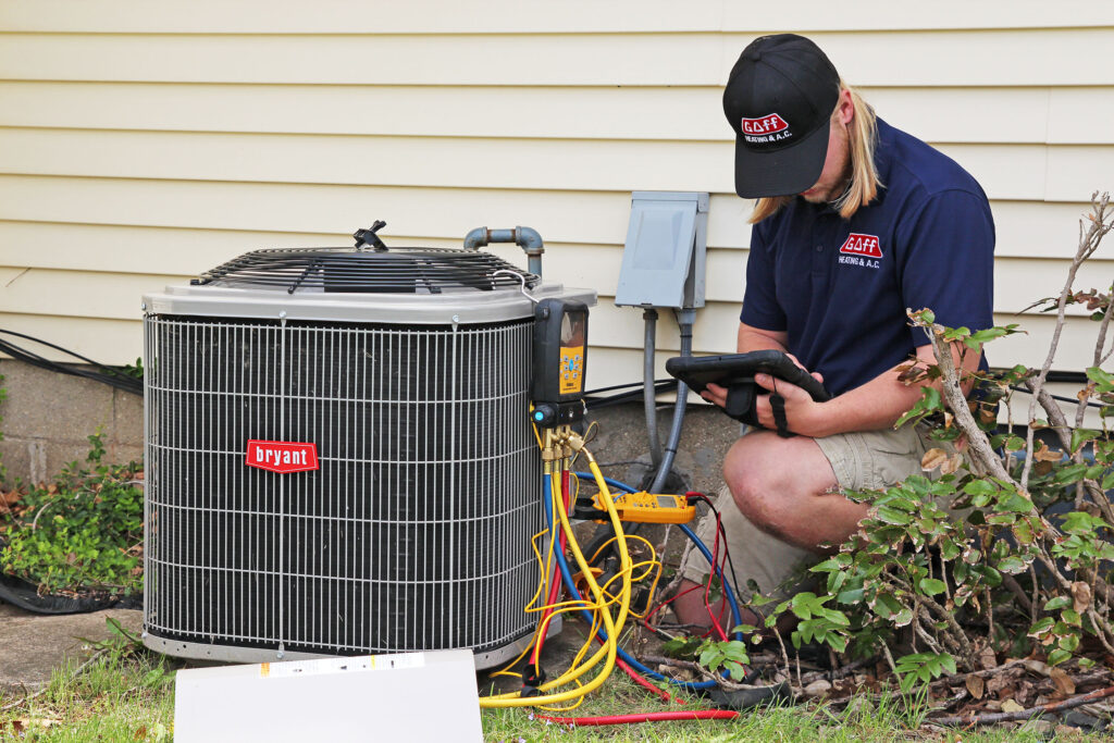 Value of a Maintenance Membership